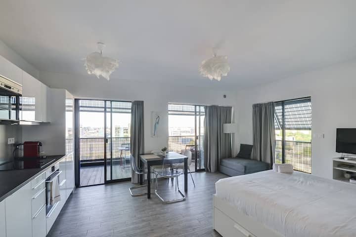 Bassin D'austerlitz - Studio Tours Black Swans - Estrasburgo