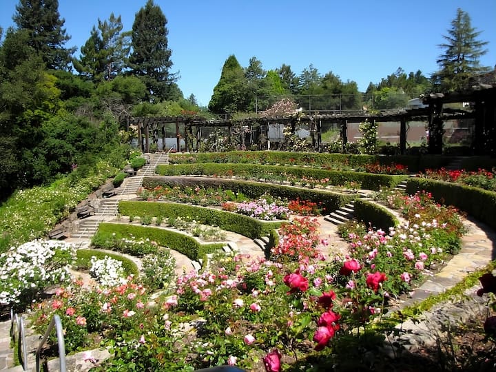 Explore The Charm Of Pleasant Hill Ca! Four Units! - Walnut Creek, CA