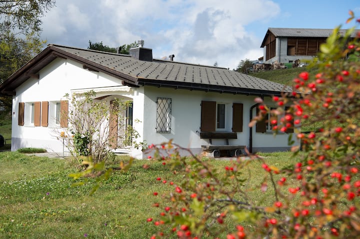 Holiday Home With Garden Tgeasa Schilendra-lantsch - Lenzerheide