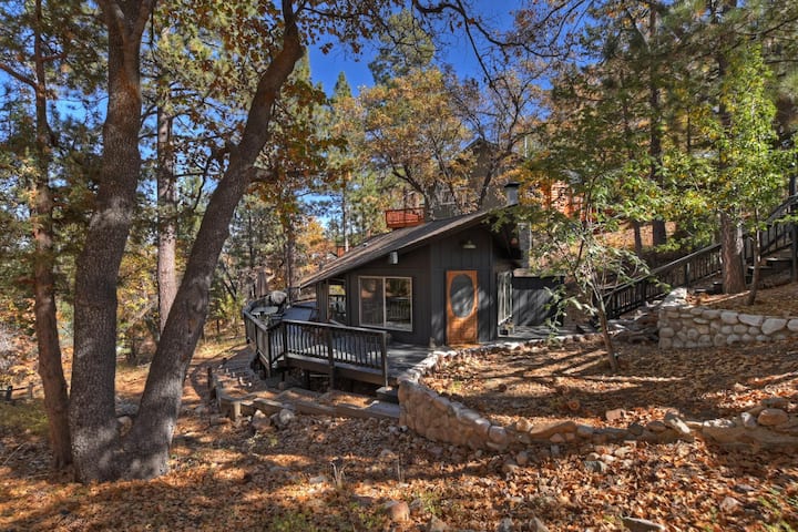 The Cosmic Cabin:pet Friendly!modern Mid-century! - Big Bear
