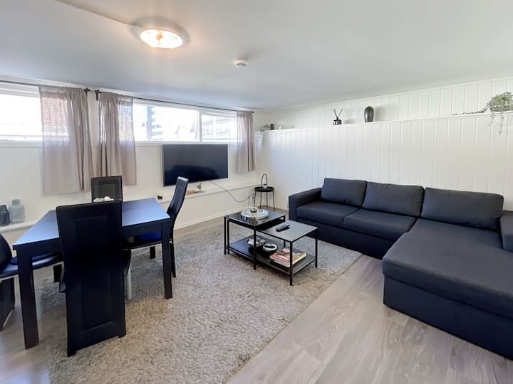 Central 2br Apt W/kitchen & Sofa Bed, Ap4 - Stavanger