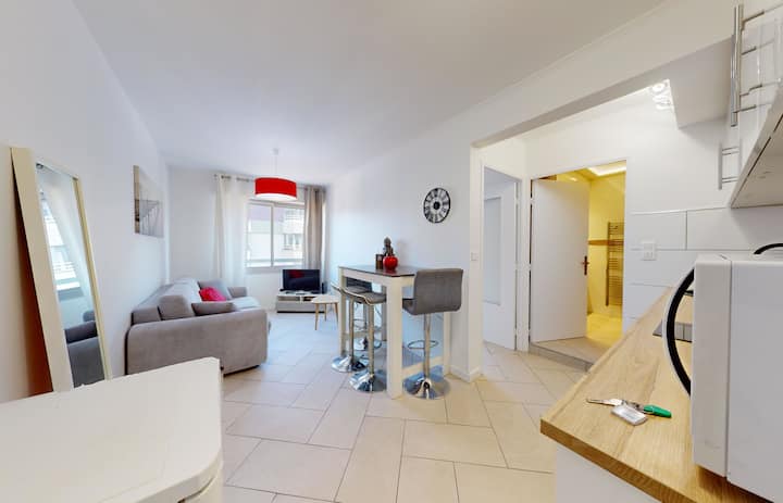 Président Favre - Joli Appartement Pour 4 - Annecy