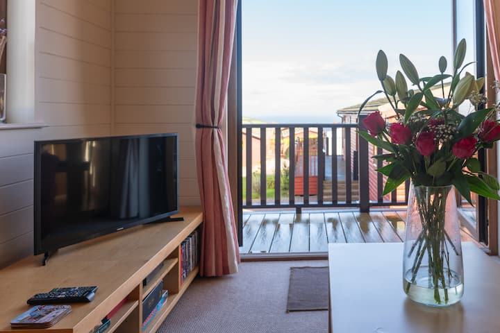 28 Ocean Terrace Lodge - 3 Bed-sleeps 6-tjs28ot - Devon