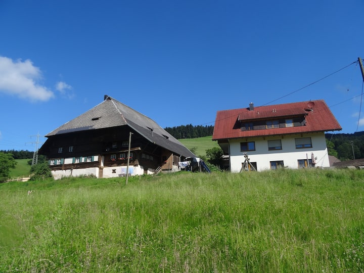 Hinterbauernhof Fewo Pferdeglück - Stegen