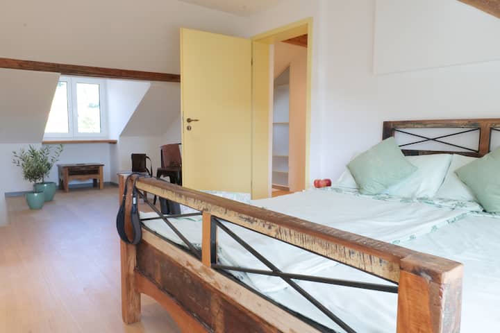 Goldener Löwe - Wohnung Pfänder - Konstanz