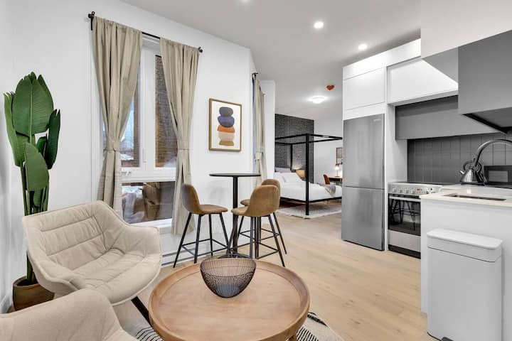 Lovely, Spacious & Stylish Studio - LaSalle