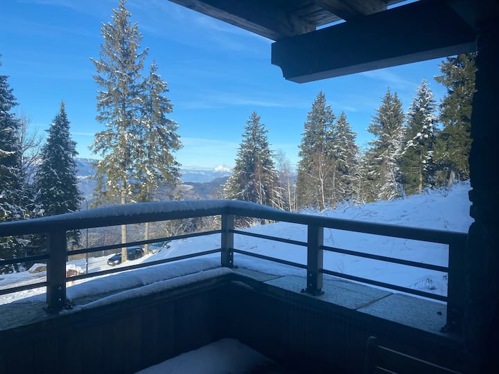 E103 - 46 M2 - 2p+cab - 6 Pers - Les 7 Laux