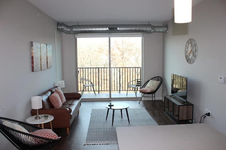 Campustown Lux Apartment Near Isu! - Iowa State University, Ames