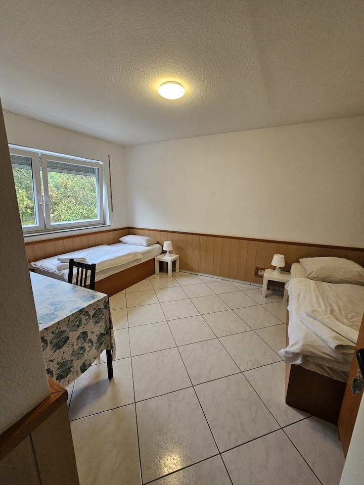 Budget Twin Room With Shared Bathroom - Frankfurt