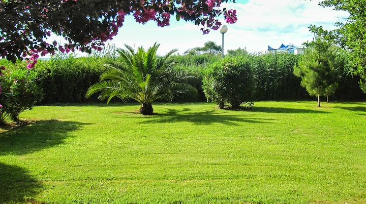 Logement Pieds Dans L'eau - 4 Personnes - Ghisonac - Ghisonaccia