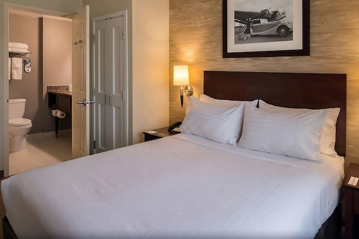 Excellent Stay In Rosemont! Pet-friendly Unit! - Chicago