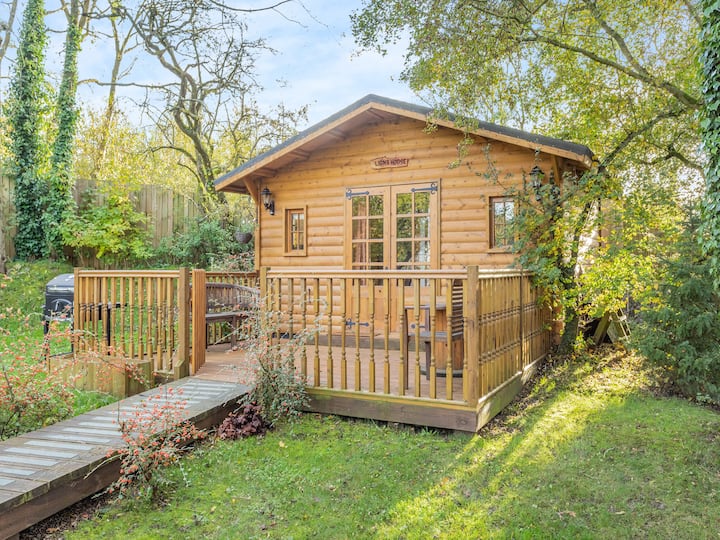 Lion House- Uk45705 - 뉴마켓