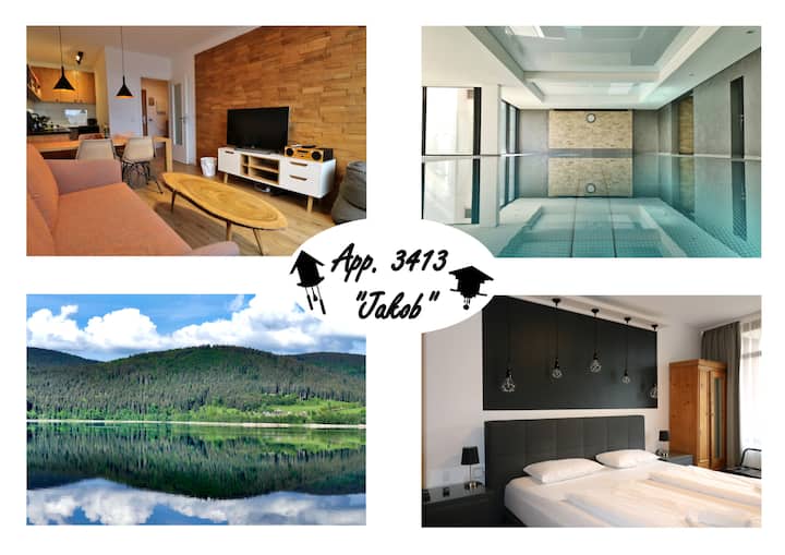 Apt.3413 "Jakob" With Indoorpool&sauna, Schluchsee - Schluchsee