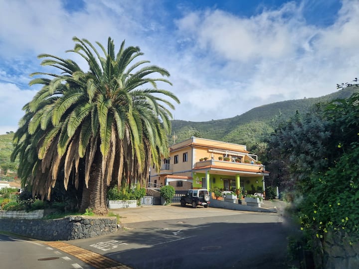 Viñedos - Los Silos