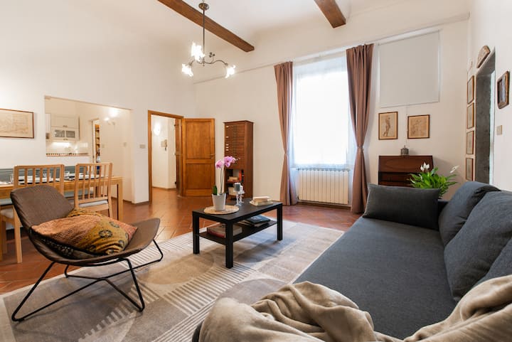 Spacious Family Flat S. Spirito 8 Sleeps - Florence