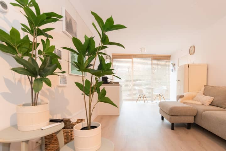 Studio Loet Schagen - Callantsoog