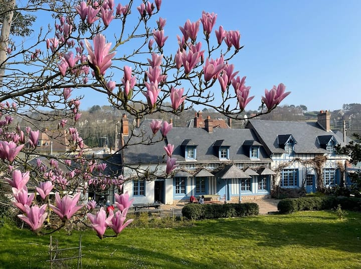 Villa Julia Marie - Saint-valéry-en-caux - Veules-les-Roses