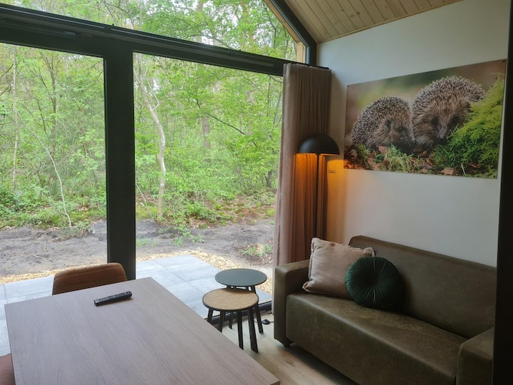 Tiny House L 4 Persoons - Dalfsen