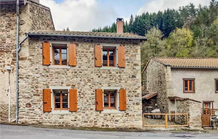 3 Bedroom Cozy Home In Saint-vert - Haute-Loire