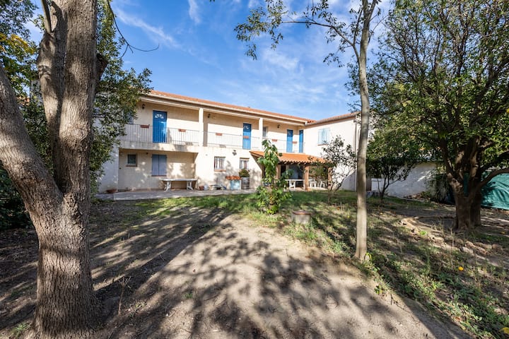 Maison Des Vignes - 7 Chambres - Laroque-des-Albères