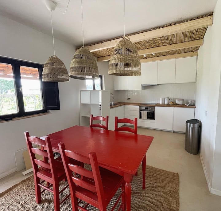 Casa Mimosa - Algarve - Portimão