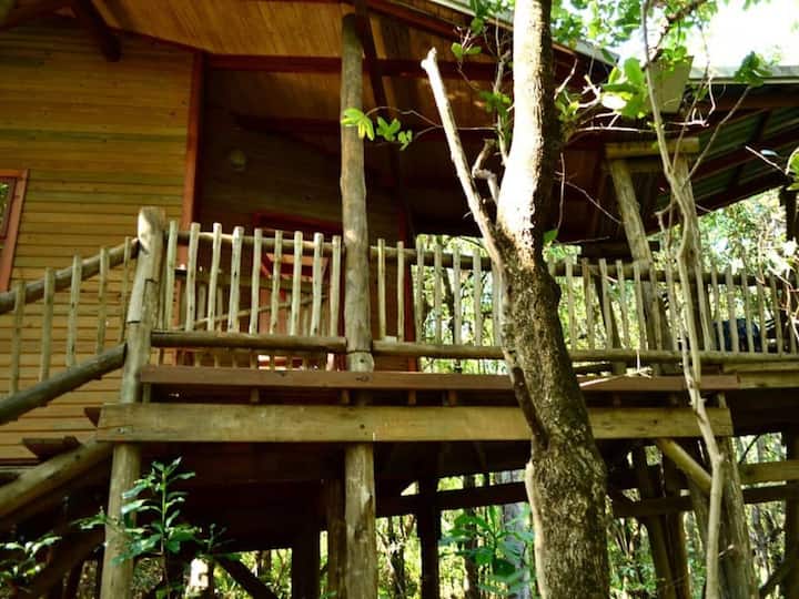 Waterbessiebos Cottage - Tzaneen