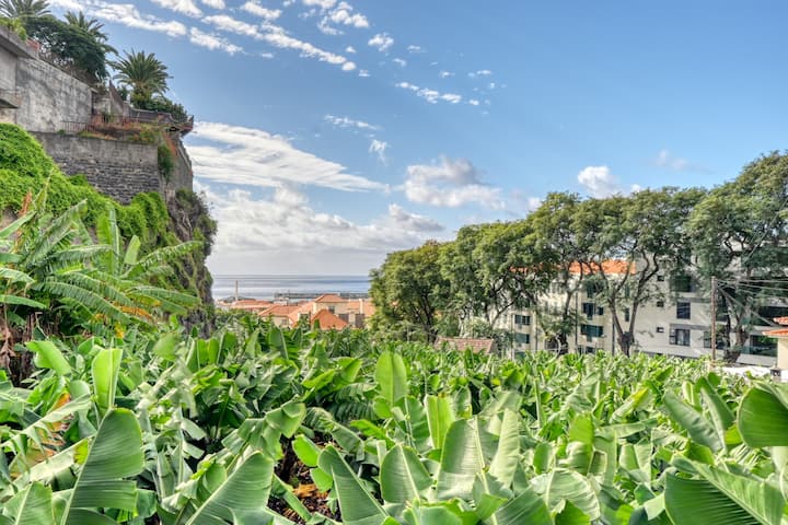 Villa Rosa, A Home In Madeira - Funchal