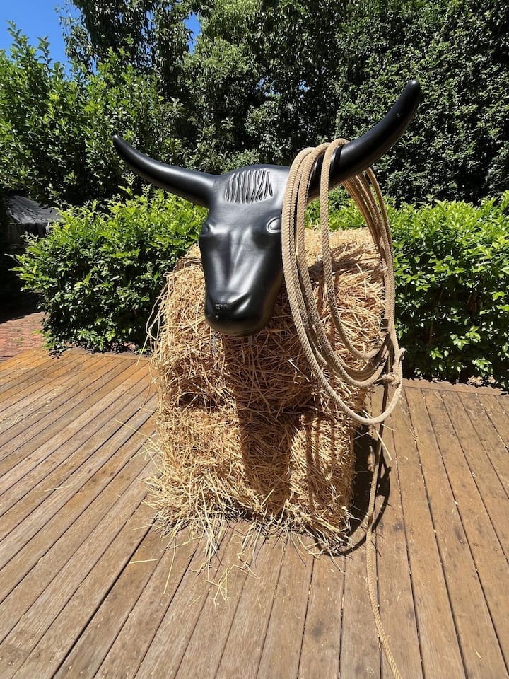 Bluebird Cottage - Tamworth