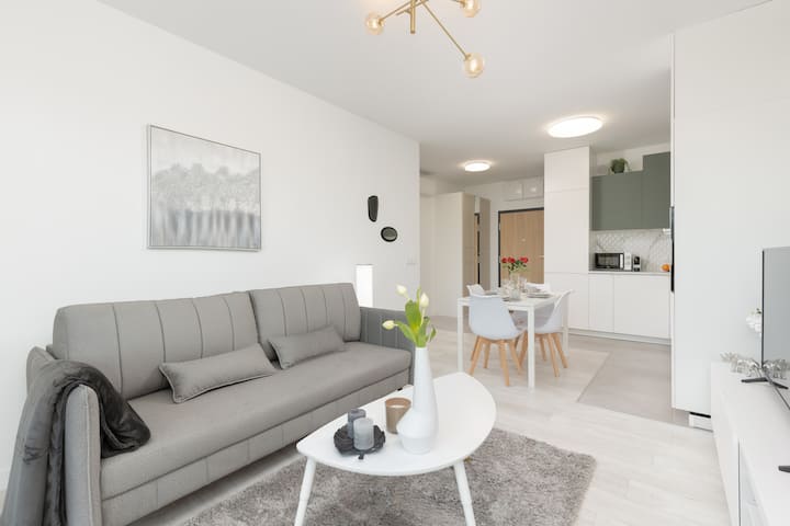 Stylish Prestige Apartment | Close To Manufaktura - Łódź