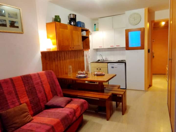 Studio Accueillant, Animaux Admis, Proche Ski - Prapoutel