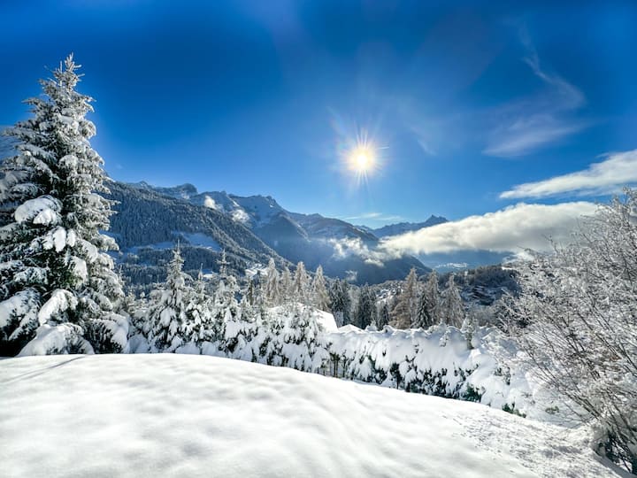 Ski In-out Sumptuous Chalet Breathtaking Views - Gryon