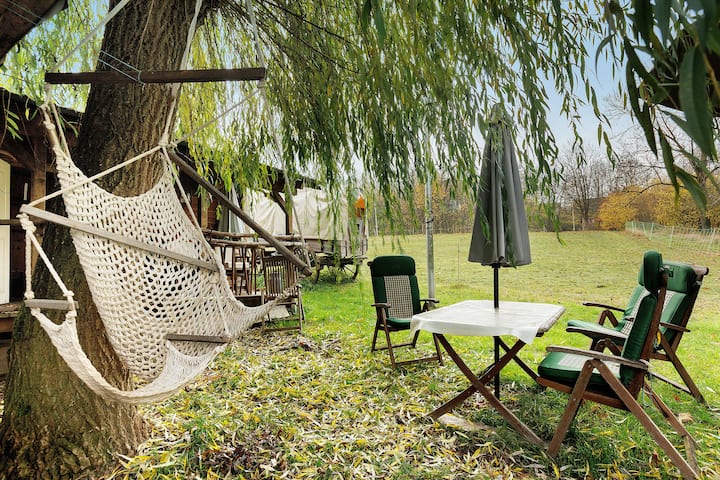 Scholz - Schlüchtern