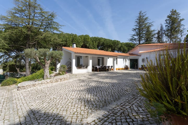 Quinta Dos Pinheiros Mansos - Serra D´arrábida - Azeitão