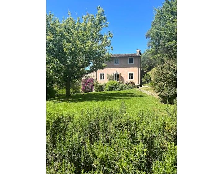 La Casa Dei Limoni, Camaiore, Pet Friendly, Wifi - - Camaiore