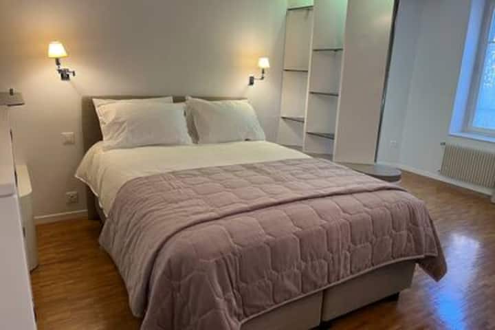 Comfortable Studio En Vieille-ville - Geneva