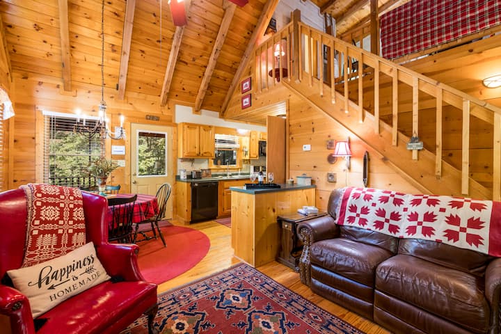 Black Bear Bungalow - Clarkesville, GA