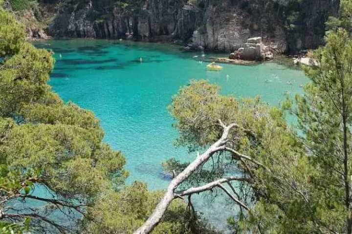 Camping 4 éToiles - Parc Aquatique - Eecaed - Palafrugell