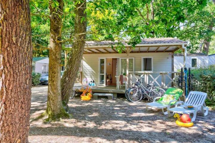 Chalet 4 éToiles - Piscine  - Eecceh - Bretignolles-sur-Mer