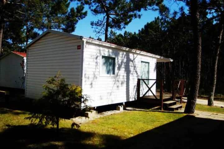 Camping - Piscine - Eeec00 - Vagos, Portugal