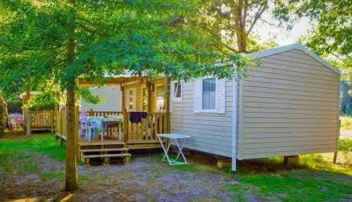Camping 4 éToiles - Piscine - Eecabe - Soustons