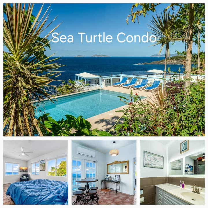 Sea Turtle Oceanfront Villa With Pool & Hot Tub!vi - Saint Thomas