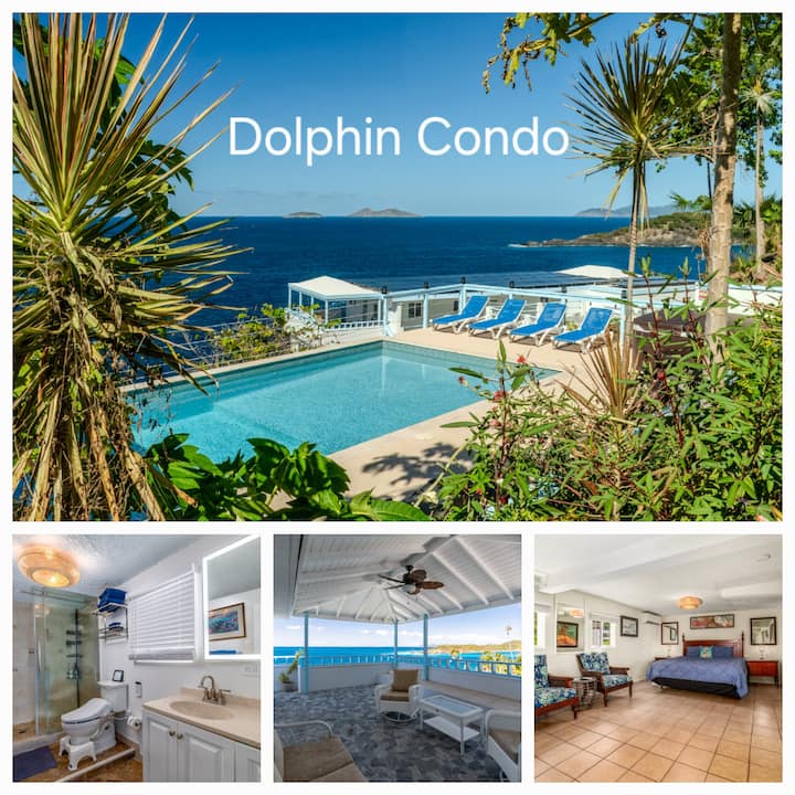 Dolphin Oceanfront Villa With Pool & Hot Tub! Usvi - Saint Thomas