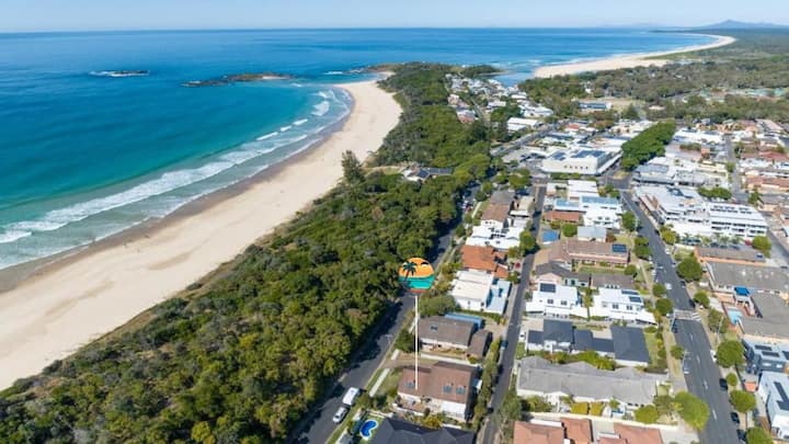 Bougainvillea - Coffs Harbour