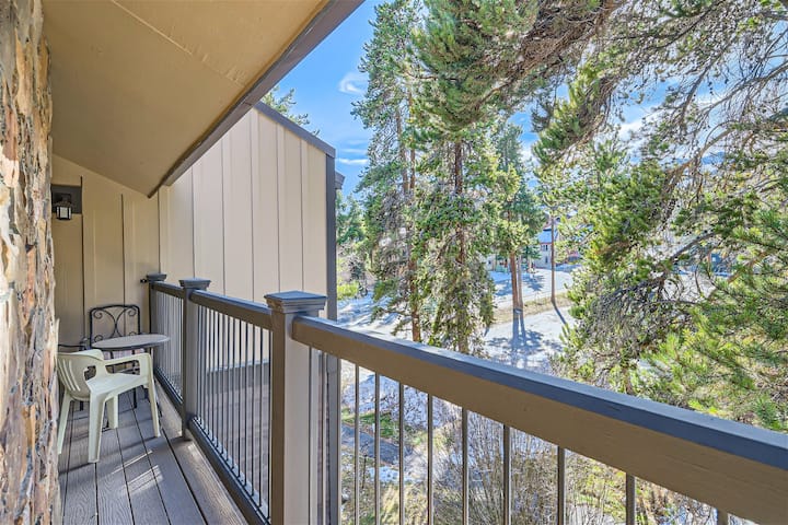 Eagle On Skis Cozy 3 Bdr Home Walk To Ski Lifts - Breckenridge, CO
