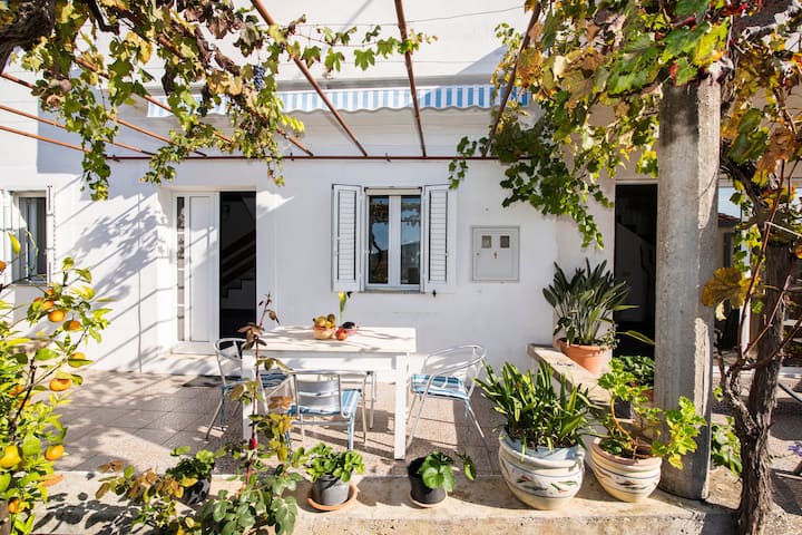 K-22085 Maison De Trois Chambres Avec La Terrasse - Maslinica