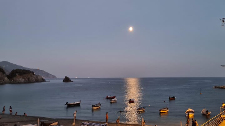 Delfino Cosy Apartment With A/c Near Best Beaches - Monterosso al Mare