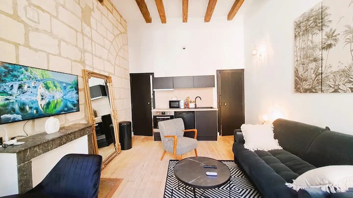 • L'authentique • Basilique St-martin, Wifi, Neuf - Tours