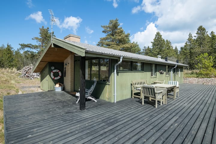 Nature-filled Vacations Here 020711 - Skagen