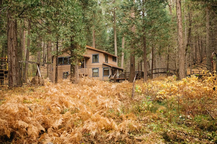 Modern & Spacious Cabin Only 15 Min From Yosemite - Fish Camp, CA