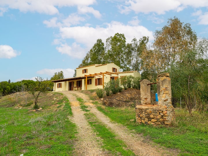 Eucalipto By Interhome - Muravera